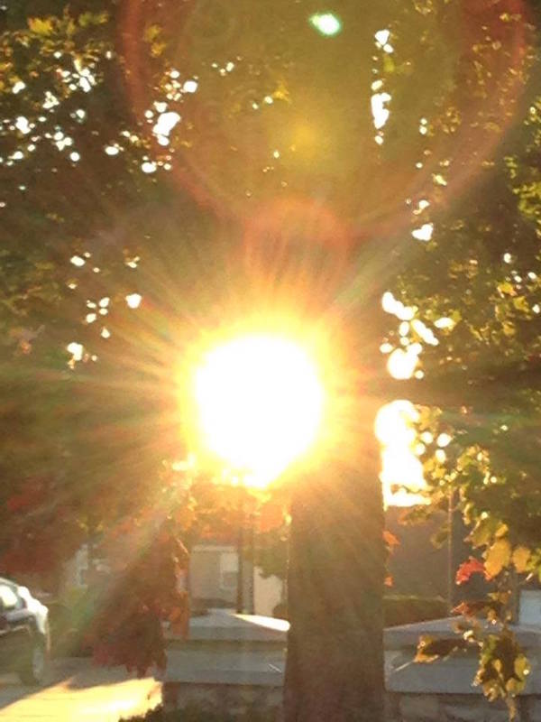 Your Definitive Guide to Debunking Orbs: Lens Flares » In My Sacred Space